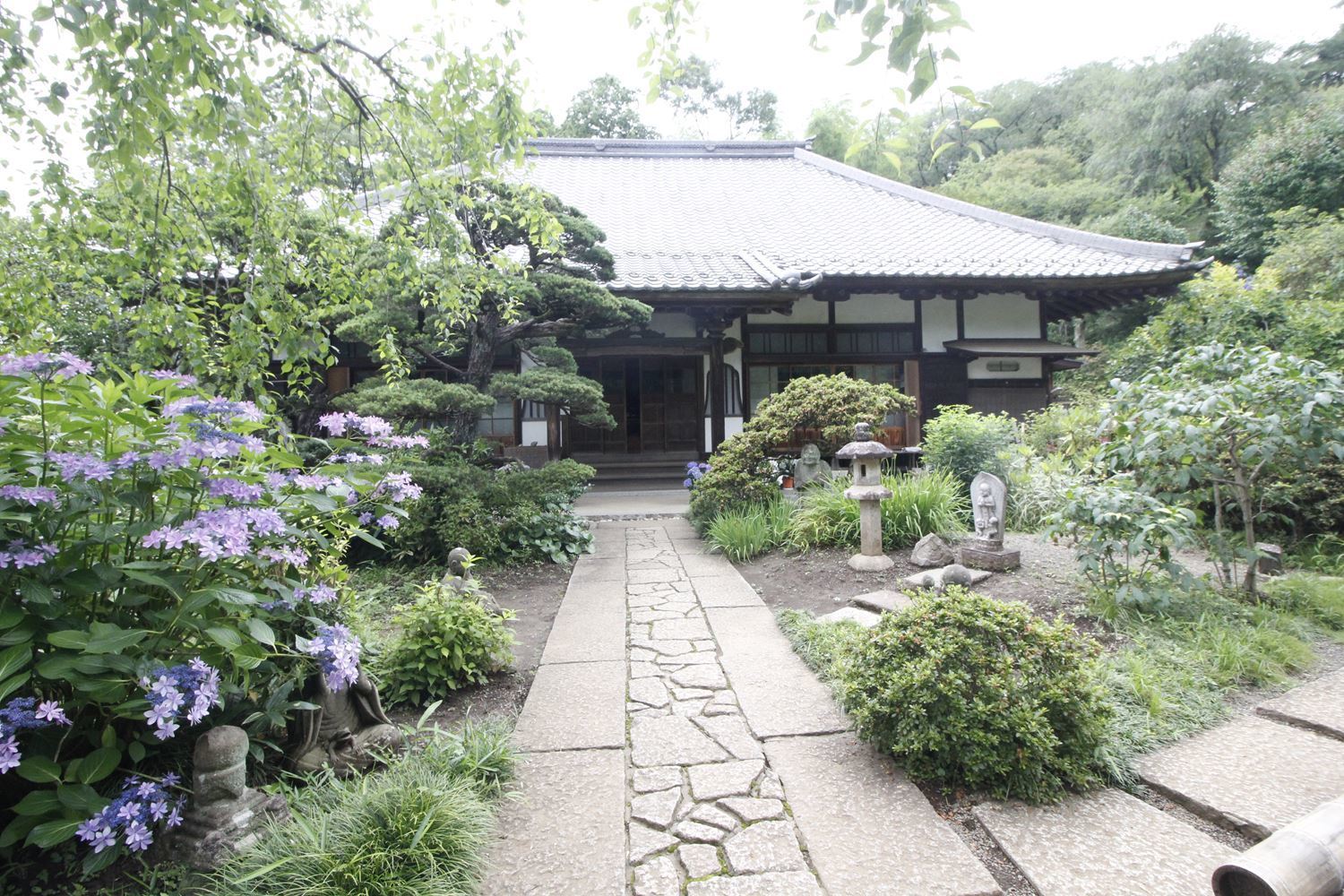 浄慶寺 2023年 ＜川崎市麻生区＞: 阿吽探訪 狛犬と仁王像4